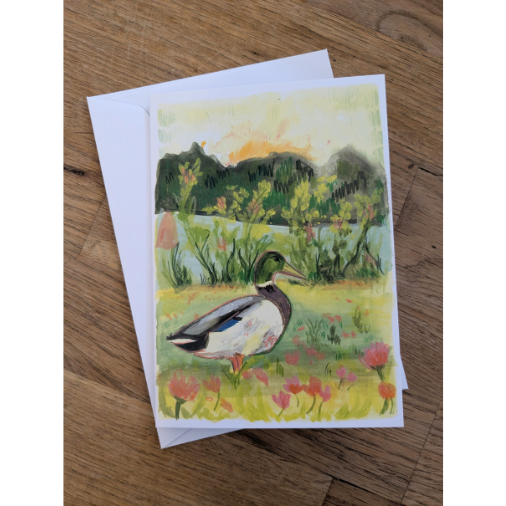 Blank Greeting Cards - Duck (5pk) | Helen Arkell